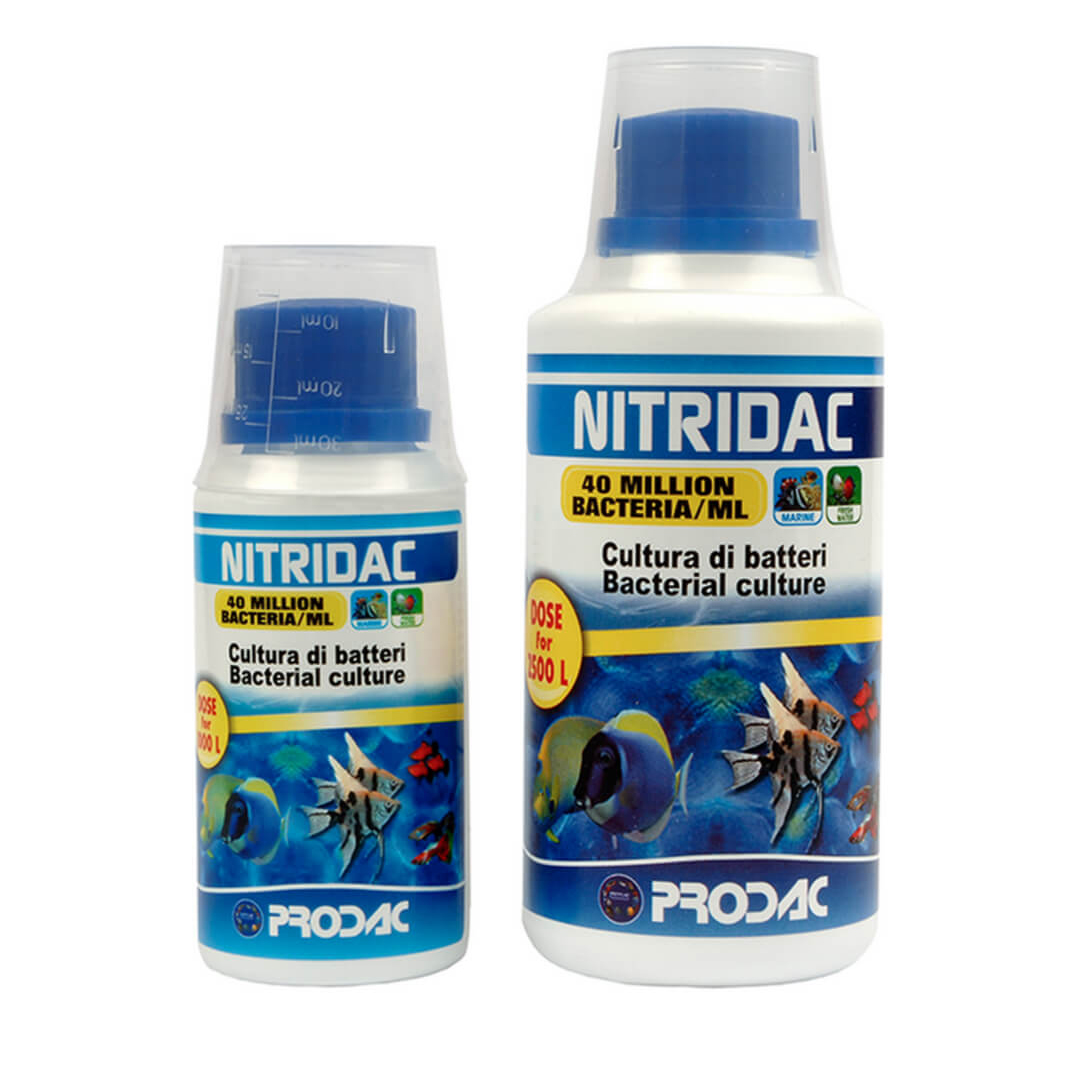 Biological activator - Tecnoimpianti Riccione